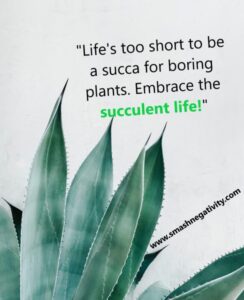70 Inspiring & Funny Succulent Quotes For Instagram And Succulent ...