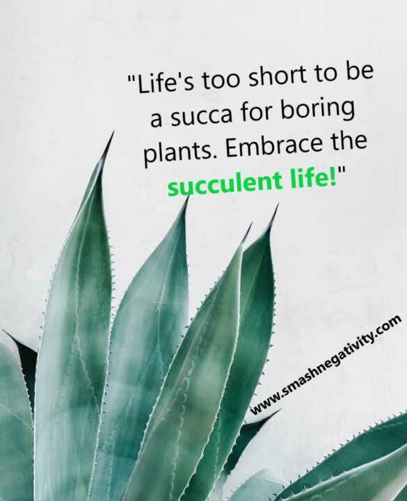 70 Inspiring & Funny Succulent Quotes For Instagram And Succulent ...
