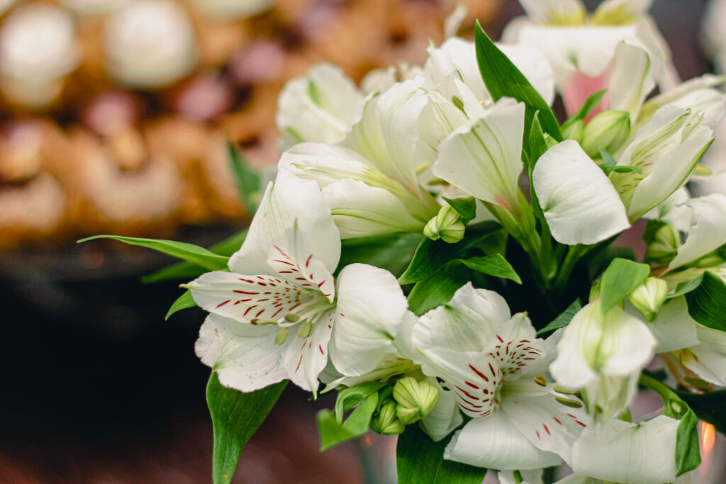 5 Flowers For Best Friend: What To Choose | Smash Negativity