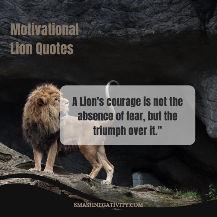 70 Motivational Lion Quotes | Smash Negativity