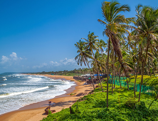What Is Goa India Known For: 10 Reasons To Visit