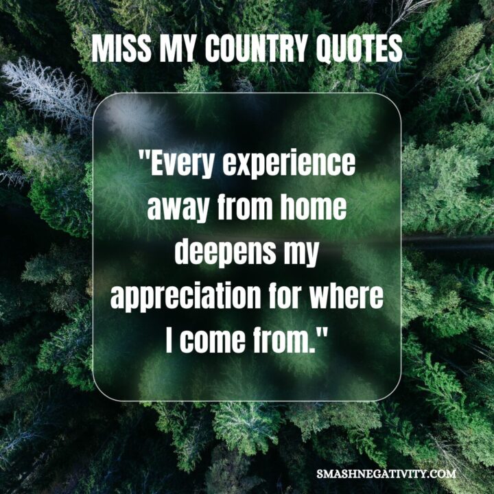 60+ Miss My Country Quotes | Smash Negativity